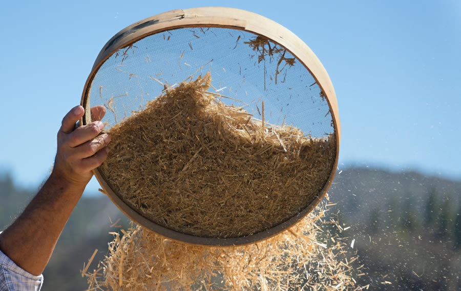 Offense: The Sifting of Satan. I tell you the truth: | by Stephanie ...