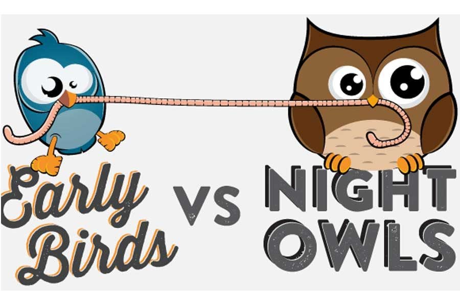 Early Birds or Night Owls. Here we see an early bird and a night… | by ...