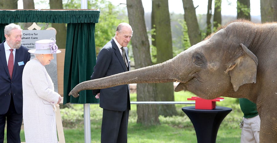 Queen Elizabeth II and Prince Philip, Duke of Edinburgh, feed Donna the ...
