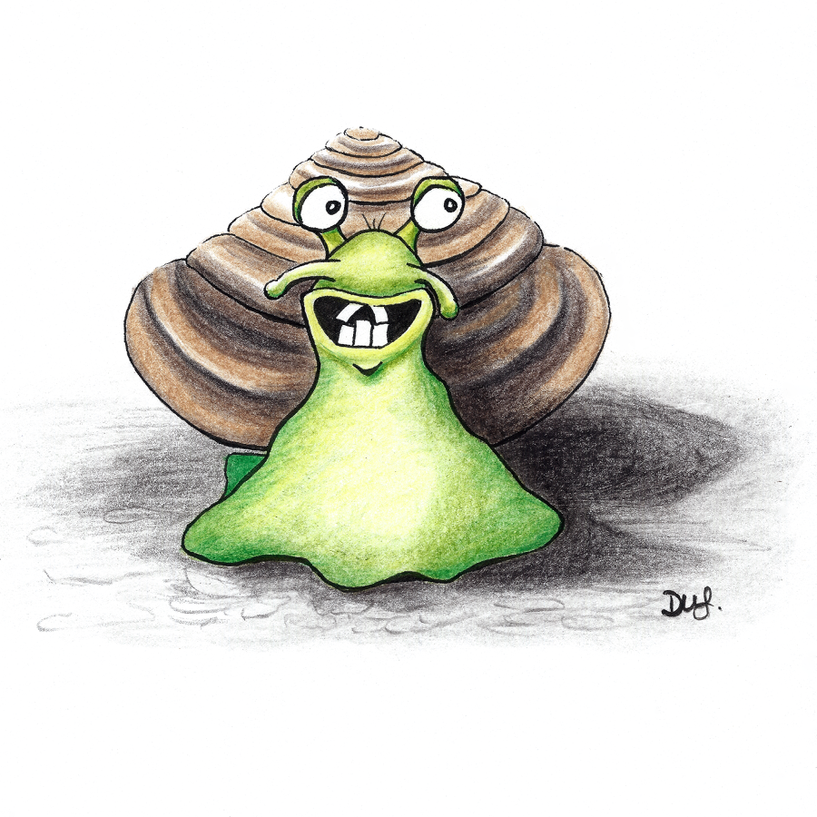 Alfred the Snail. “I saw Alfred this morning,” noted… | by Peter ...