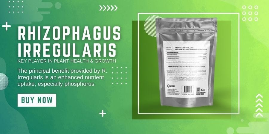 Rhizophagus Irregularis Spores: Purchase for Improved Soil Health ...