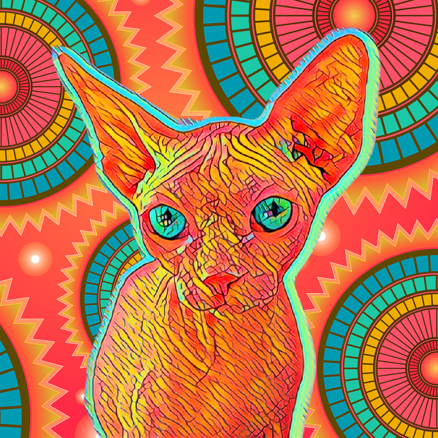 NFT Reveal #16/20: Mexico. Bright happy colors which bring to… | by ...