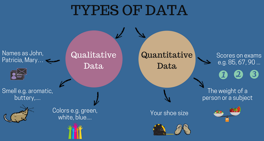 Qualitative vs. Quantitative Research | by Adriana Vasseur | Medium