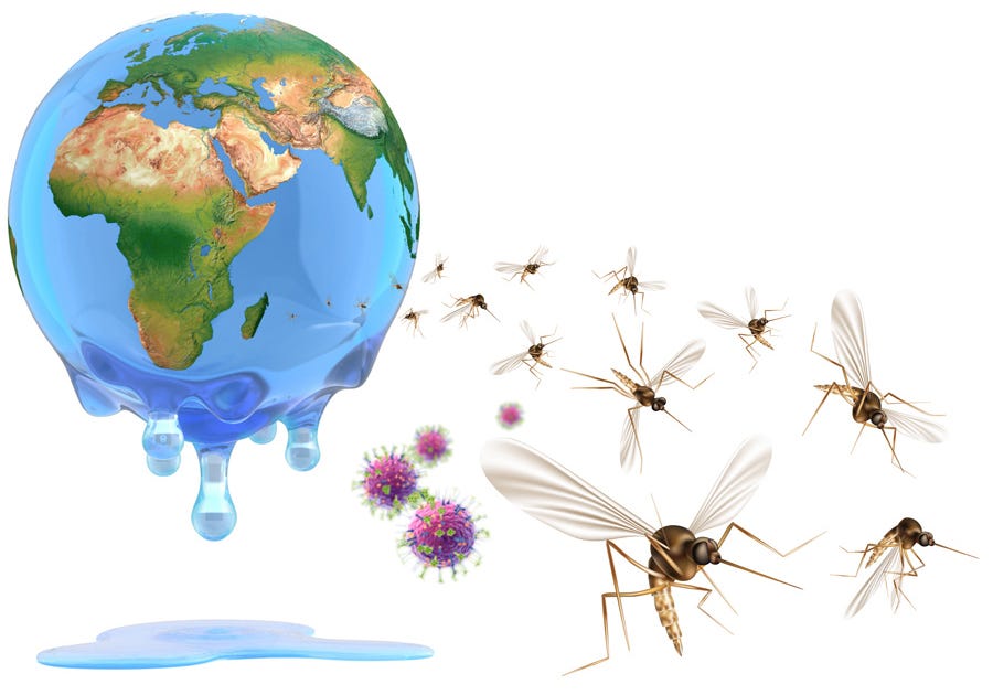 Impact of Climate Change on Dengue Fever and Other Neglected Diseases ...