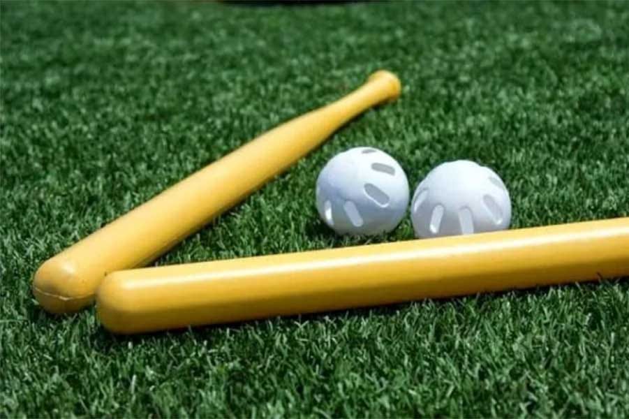 The Joy and Wonder of Wiffle Ball | by Brian Rosta | Beyond the ...