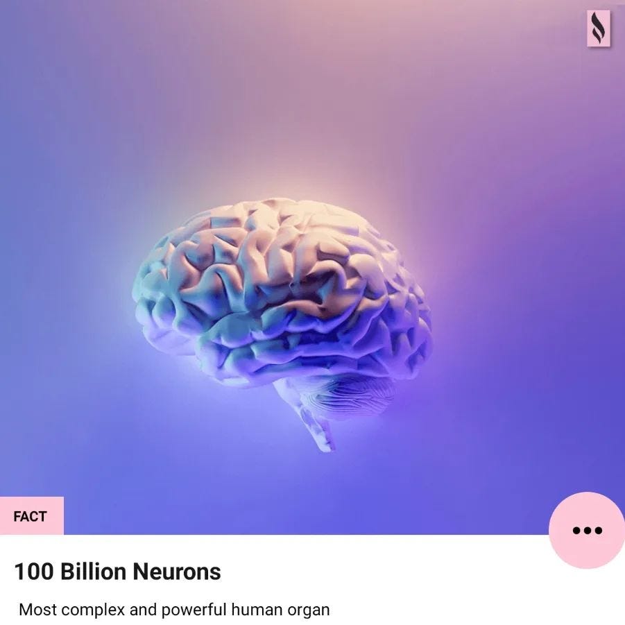 100 BILLION NEURONS. Most complex and powerful human organ. | by The ...