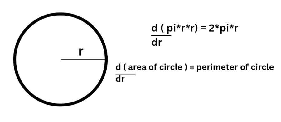 Is there a relation between perimeter and derivative? | by Charvi A ...