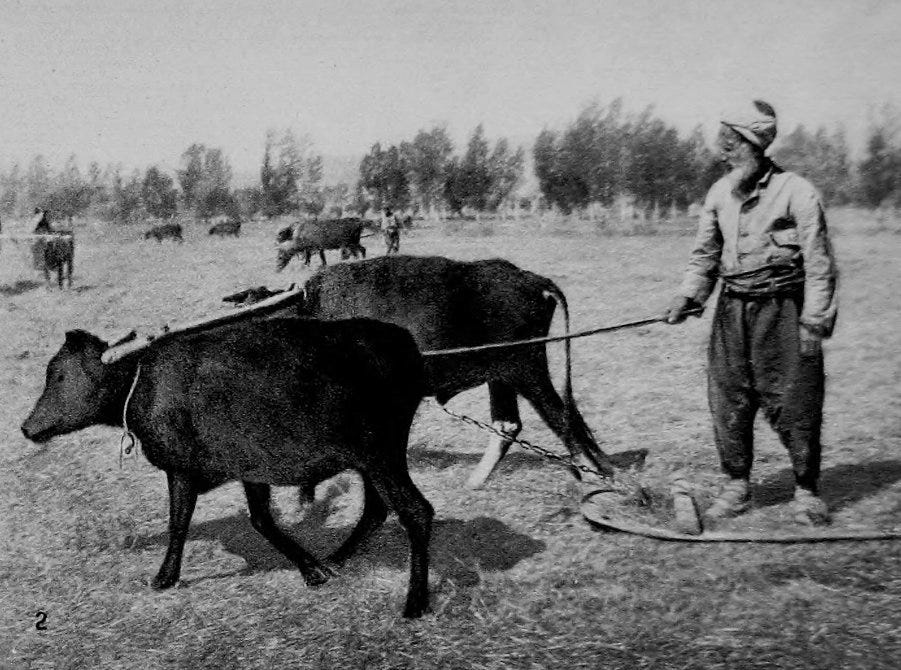 Land Ownership and Tax Regulations in the Ottoman Empire | by Halil ...
