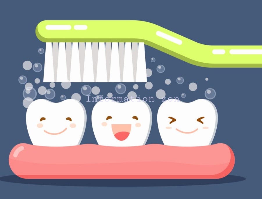 How to care our teeth? types of teeth,name and function - Umme Abuzar ...