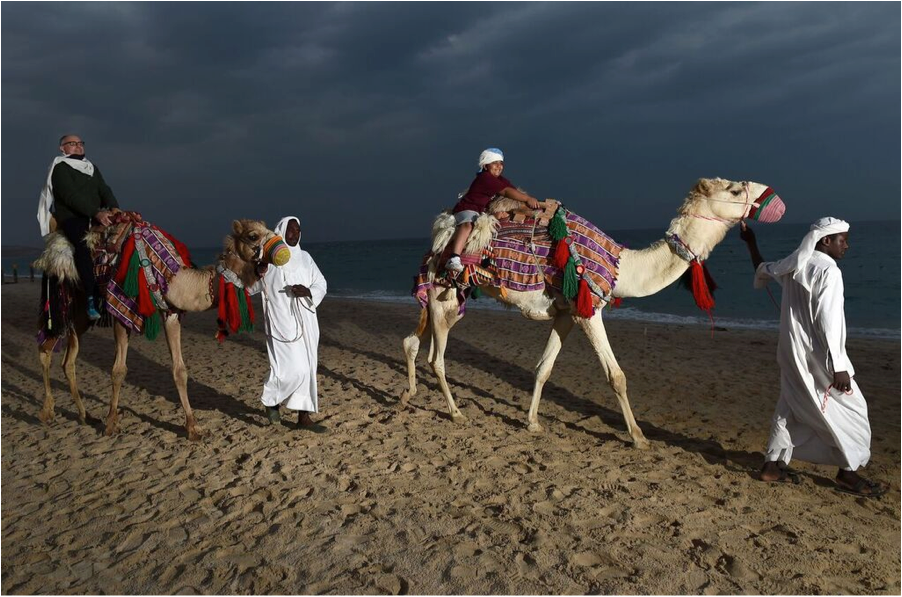 Qumra, Arabic for Camera, Works to Help First and Second Time ...