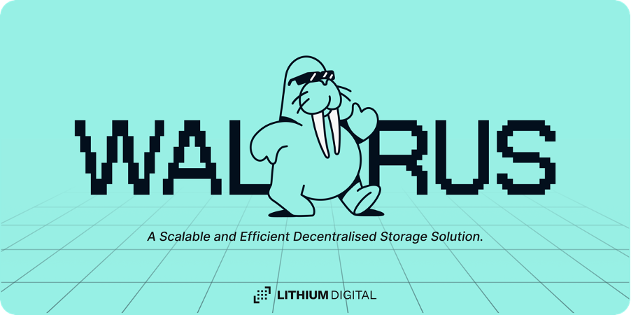 Walrus Protocol: A Scalable and Efficient Decentralised Storage Solution | by Lithium Digital ...