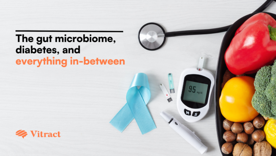 The gut microbiome, diabetes, and everything in-between. | by Vitract ...