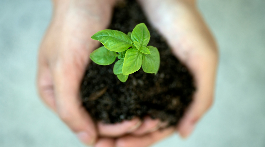 Traits to Nurture Relationships- Part 2 | by Claude Cruz, PhD | Two ...
