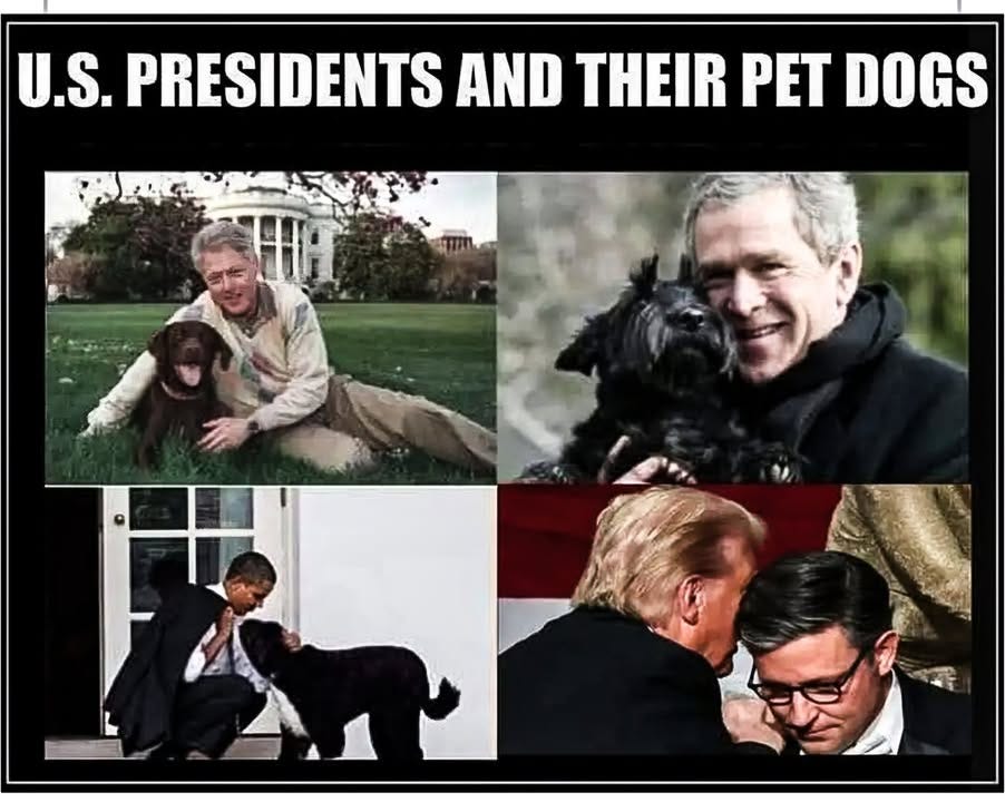 Yesterday’s Memes (11/07/25) - A. Name Needed - Medium