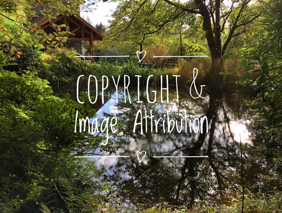 Copyright and Image Attribution. Copyright | by TommyKellyBlogs | Medium