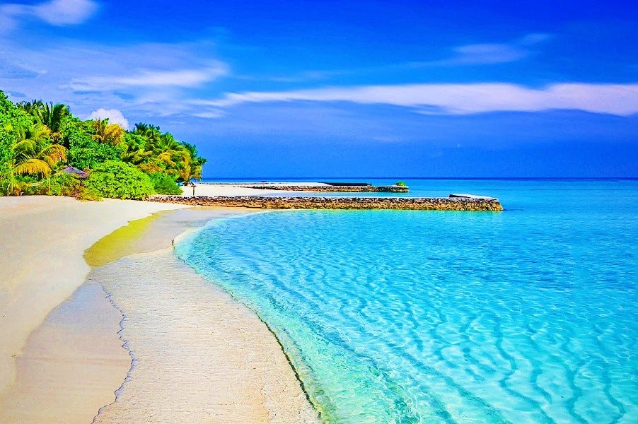 Eco-Tourism in Andaman: Sustainability and Conservation Efforts on the ...