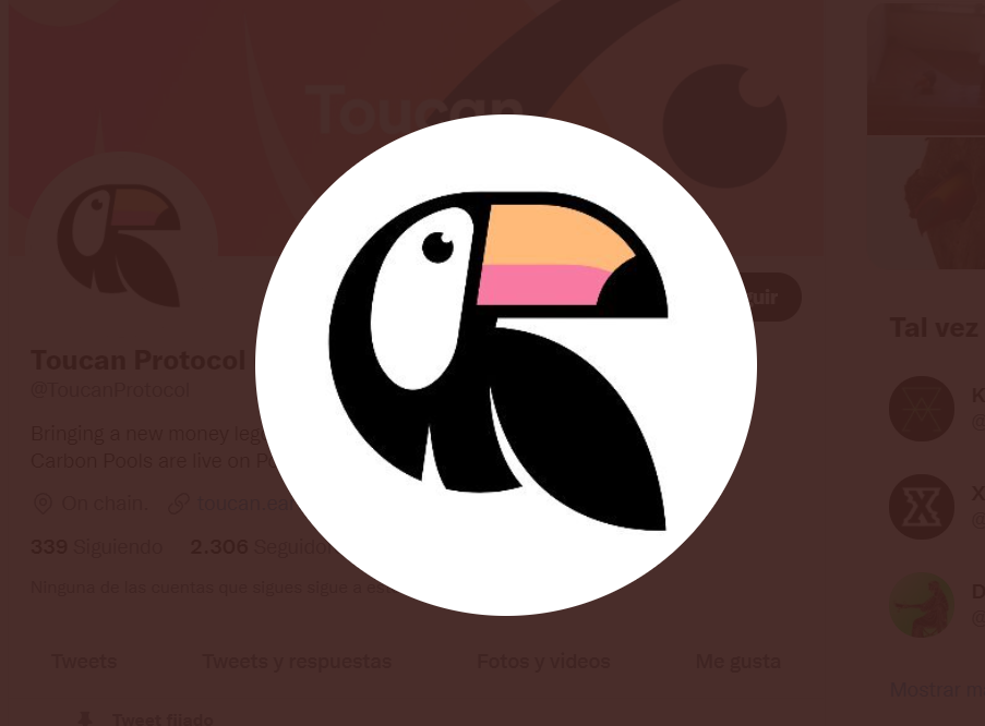 Toucan Protocol (BCT) Token ¿Qué es, cómo comprar y precio ...