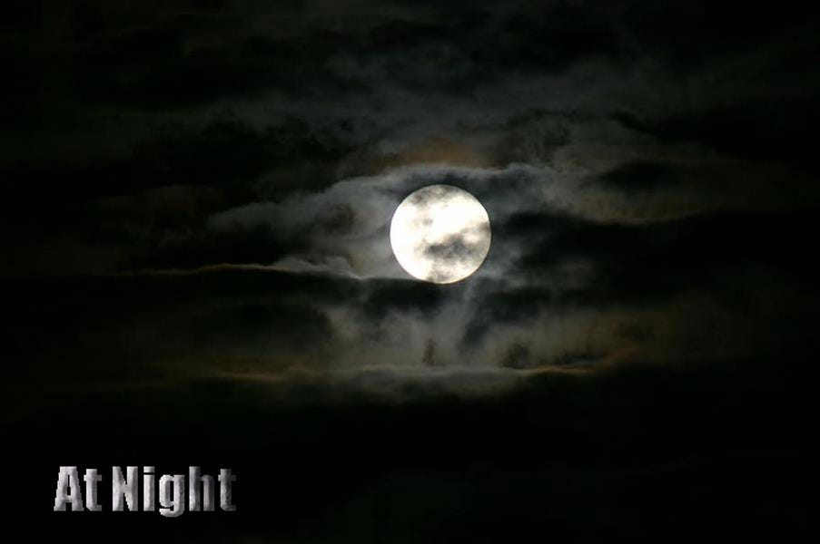 At Night. 3 There was a Pharisee named Nicodemus… | by J. Keith Broyles ...
