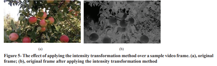 A Video Image Segmentation System for the Fruit-trees in Multi-stage Outdoors Orchard under ...