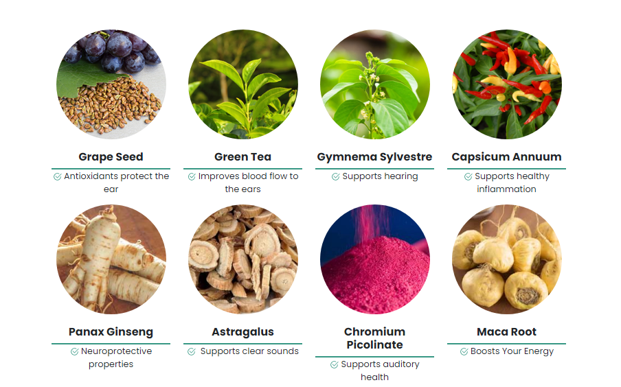 CORTEXI PRODUCTS. Introducing Cortexi, the revolutionary… | by ...
