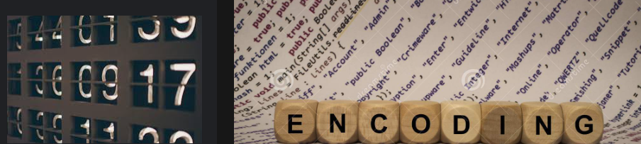 Simple guide to encoding categorical data in python. | by Victor ...