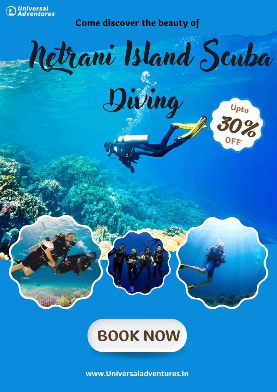 From Land to Sea: My First Dive on Netrani Island | by Alok Roy | Oct ...