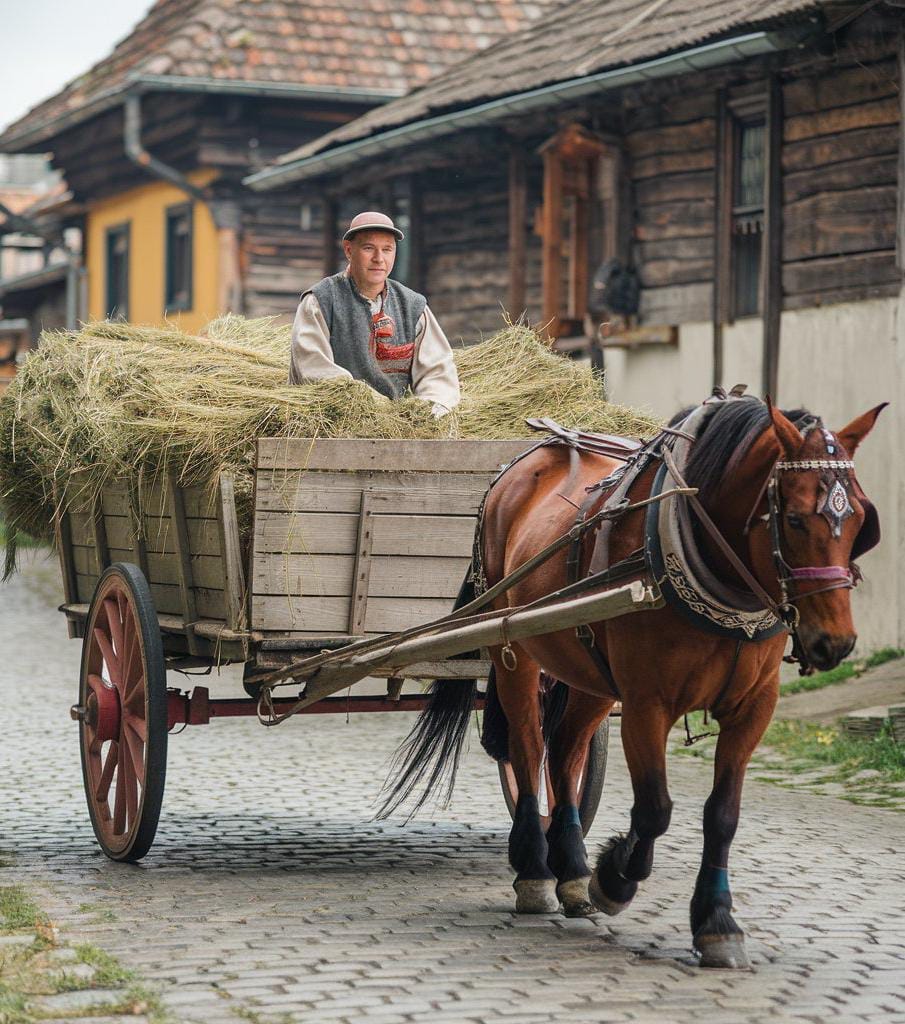 Old Romanian culture. Old Romanian culture | by Sunny | Oct, 2024 | Medium