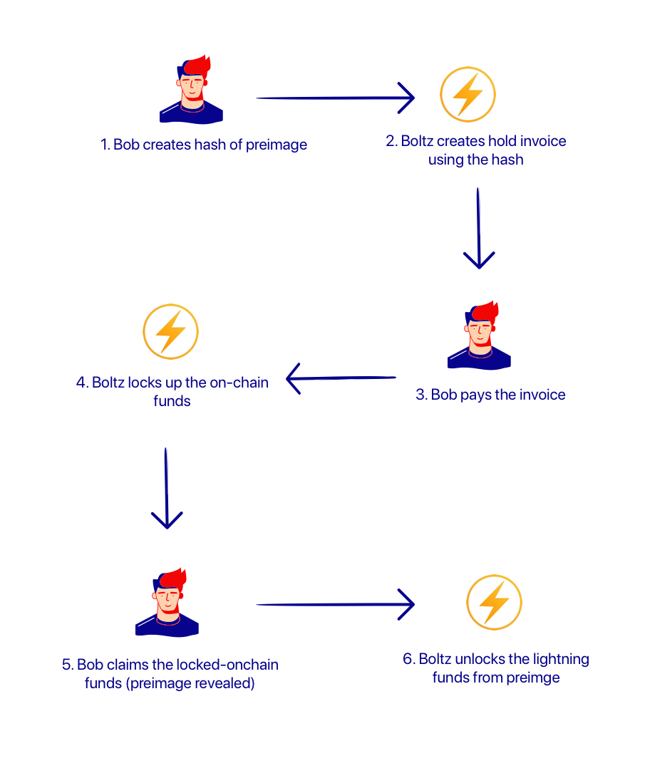 Brewing @ Boltz: Hold Reverse Swaps | by Ankur | boltzhq | Medium