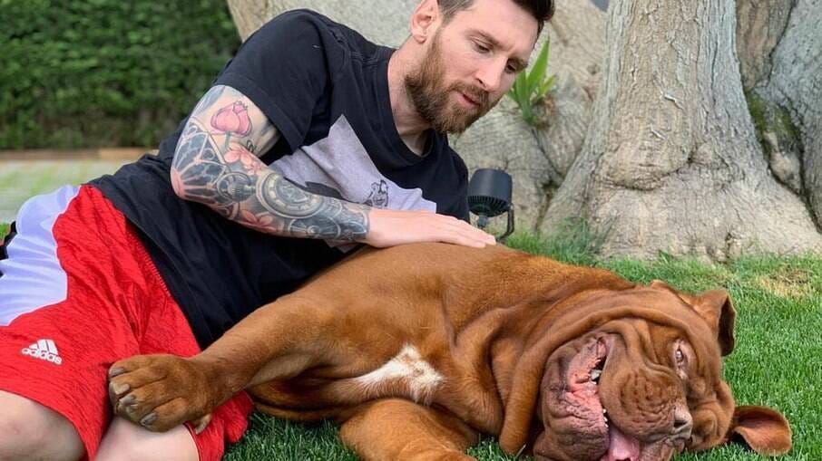 Messi — o jogador — ainda é um cachorro? | by Rodrigo Saad | Medium
