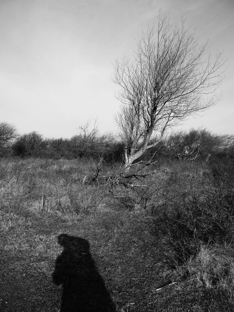 Never Good Enough | by Petrica Leuca | Women in Technology