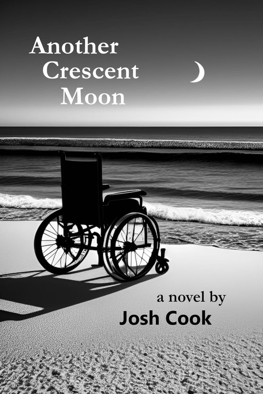 Another Crescent Moon: A Novel. My book, Another Crescent Moon, has ...