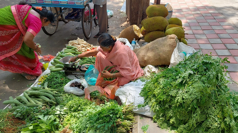 Exploring Urban Edible Foraging: Navigating Megacity Landscapes | by ...