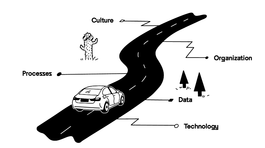 Navigating Digital Transformation: Insights from Tailored Maturity ...