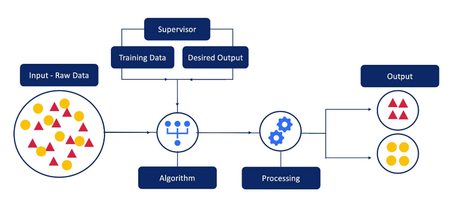 Understanding the Diverse Types of Machine Learning and Their Crucial ...