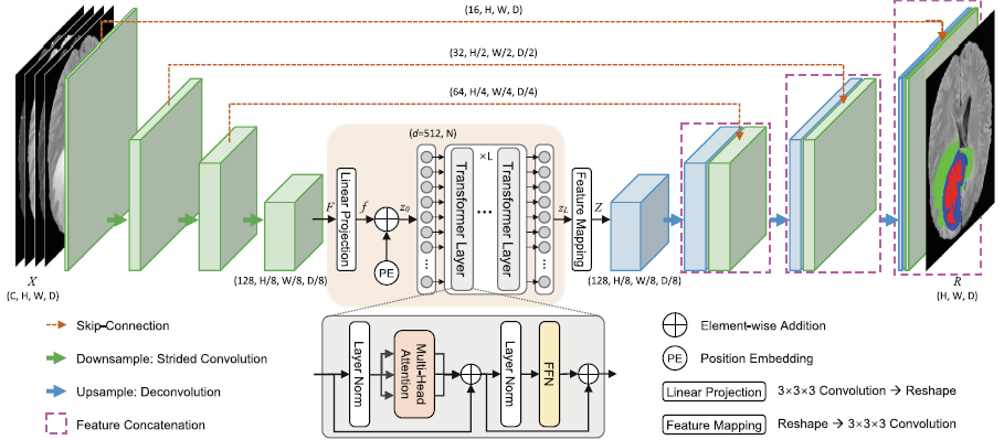 Review — TransBTS: Multimodal Brain Tumor Segmentation Using Transformer | by Sik-Ho Tsang | Medium