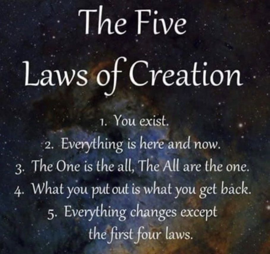 Law of Creation Tier List: Unlocking Your Potential