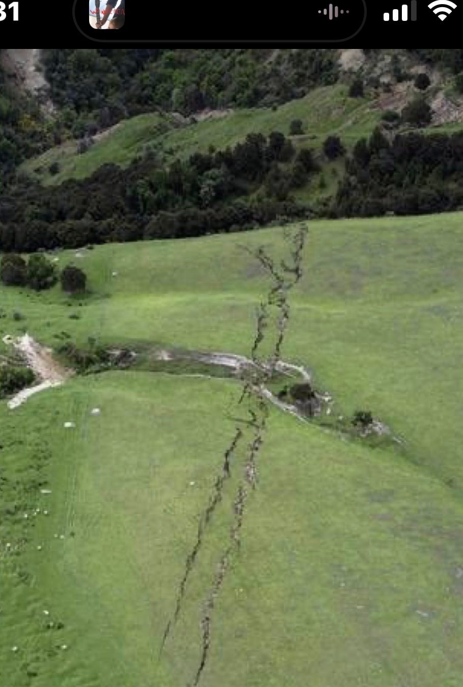 Fault line - La Marr Wenrich - Medium