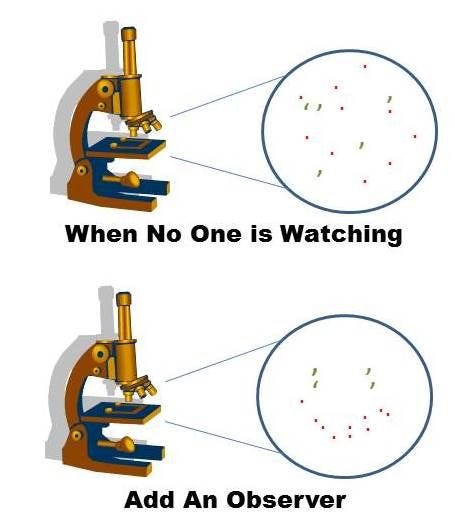 Observer Effect Examples