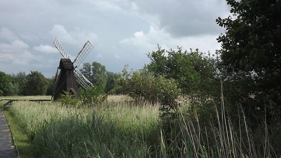 Wicken Fen, Cambridgeshire. Britain’s oldest nature reserve, it is ...