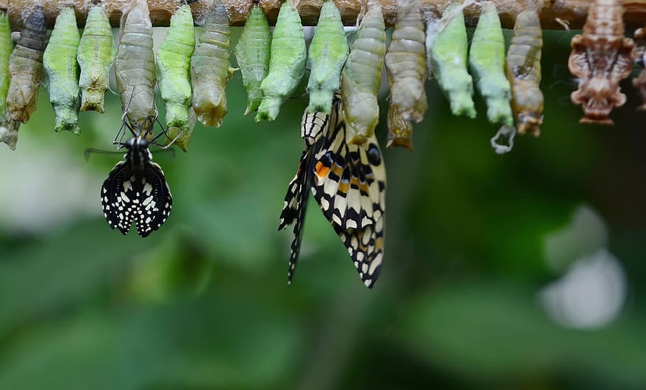 How to give feedback that sticks and why it’ll change your life | by ...