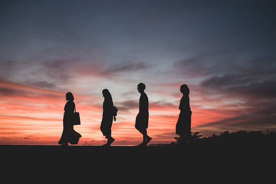 Dishonor on Me, My Cow, and My Whole Family | by Jessica Chen | Medium