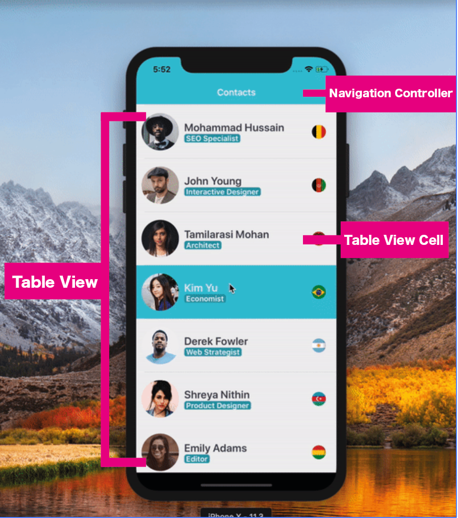 UITableViewController: entendendo o princípio | by Palloma Ramos | Apple Developer Academy ...