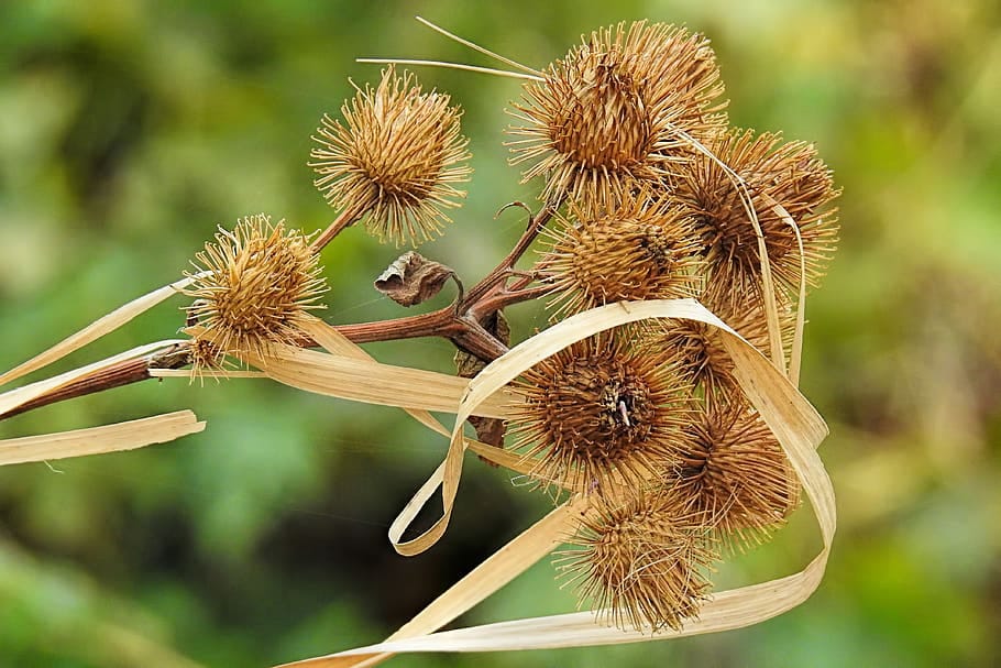 Javascript Closures in Depth. Closures is one of the most popular… | by ...