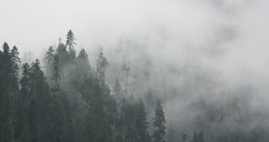 How to Structure Weekend Reflection: A 10-Question Guide | by Adrian ...