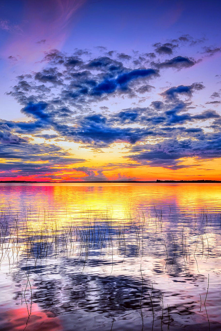 Cultivating Purity of Body and Mind — Necessary Observances on the Path ...