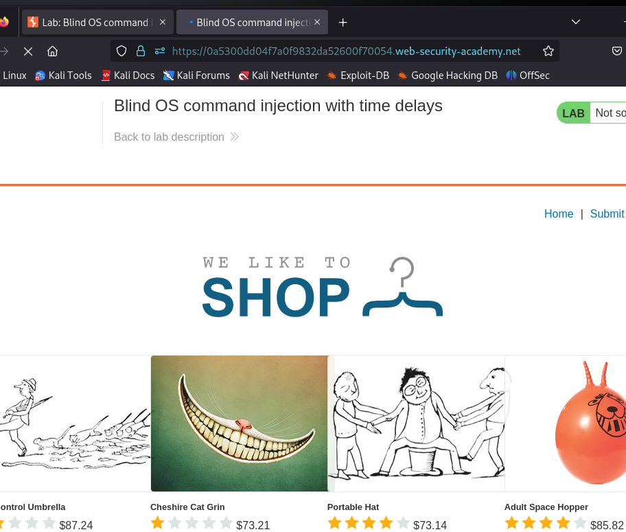 Blind Os Command Injection A Portswigger Lab S Report By Malik Haider Ali Medium