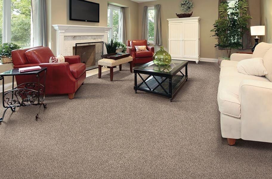 Transform Your Space with Wall-to-Wall Carpets: The Ultimate Flooring ...