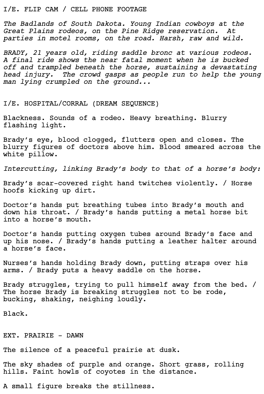 Page One: “The Rider” (2017) - Go Into The Story