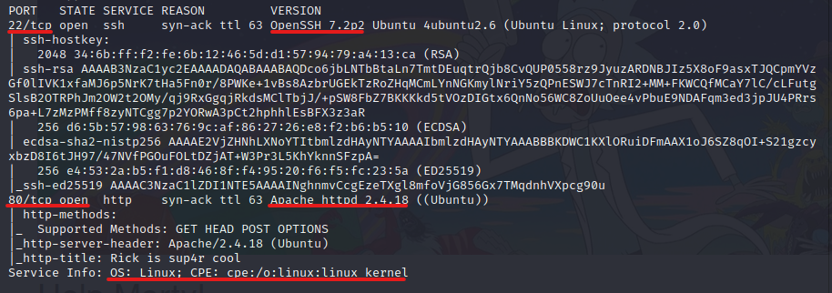 Pickle Rick — Tryhackme Walkthrough | by killerdaemon | Medium
