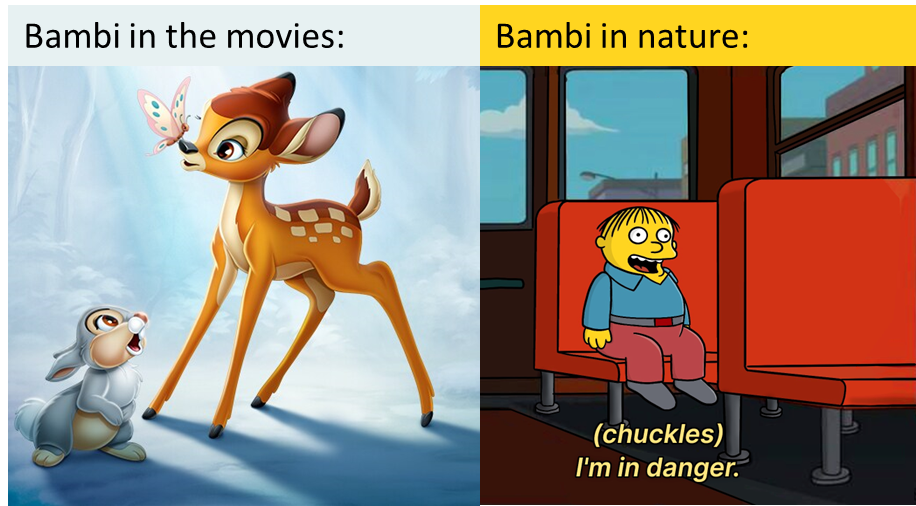 Animals, Identity and Morals. or Wild Animal Suffering and the Moral ...